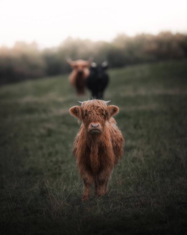 Beautiful Outdoor Photography by Luke Stackpoole – Fubiz Media