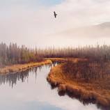 Awesome Surreal Landscapes by Benjamin Everett – Fubiz Media