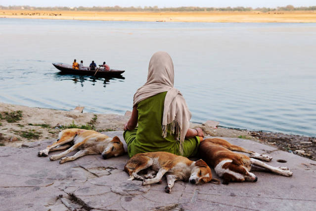Stunning Portraits of Humans and Animals by Steve McCurry – Fubiz Media