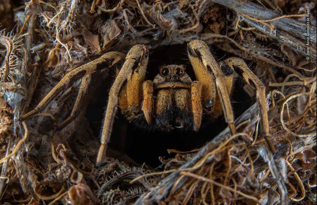 Two Mice Fighting in London’s Underground – Fubiz Media