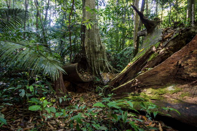 Two Mice Fighting in London’s Underground – Fubiz Media