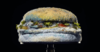 A Timelapse of Burger King’s Whopper Turning Moldy – Fubiz Media
