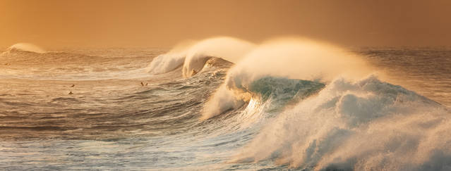 Amazing Winter Waves in Hawaii – Fubiz Media