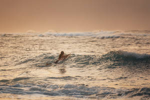 Amazing Winter Waves in Hawaii – Fubiz Media