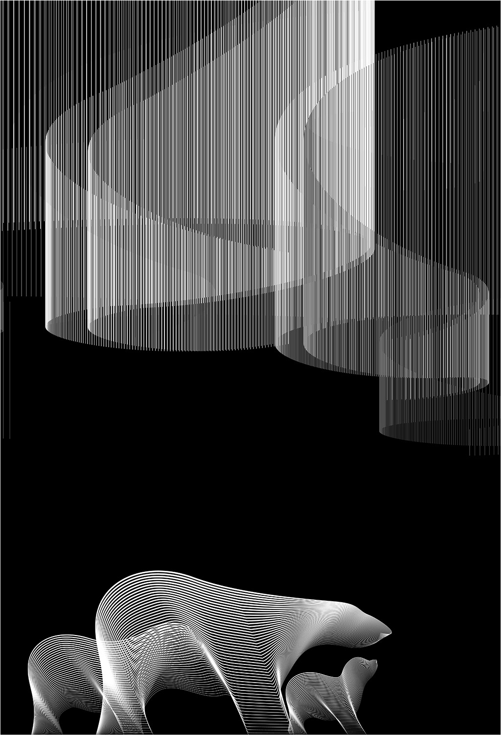 Polar Bears 1 Fubiz Media