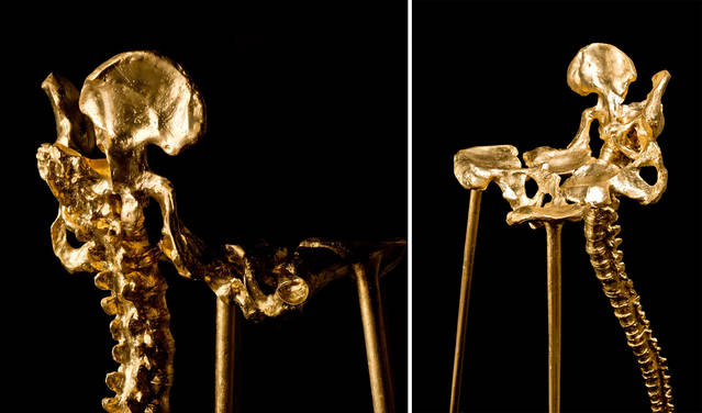 Impressive Structural Furniture Inspired from Human Bones – Fubiz Media