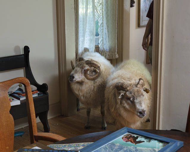 Through The Lens Of Photographer Chase Middleton – Fubiz Media