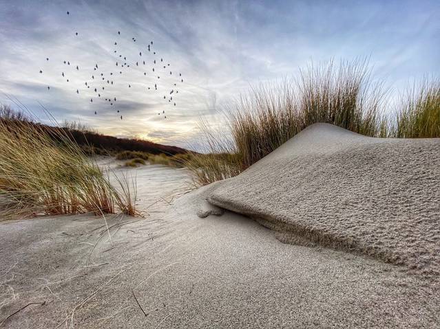 The Winners of the 2020 iPhone Photography Awards – Fubiz Media