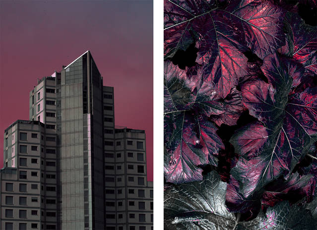 Dreamy and Quiet Landscapes by Al Mefer – Fubiz Media