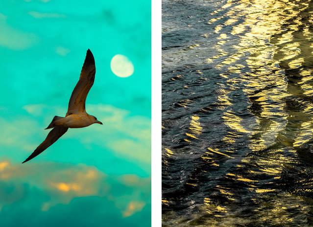 Dreamy and Quiet Landscapes by Al Mefer – Fubiz Media