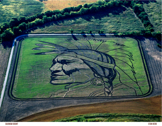 Beautiful Land-Art Seen from Above – Fubiz Media