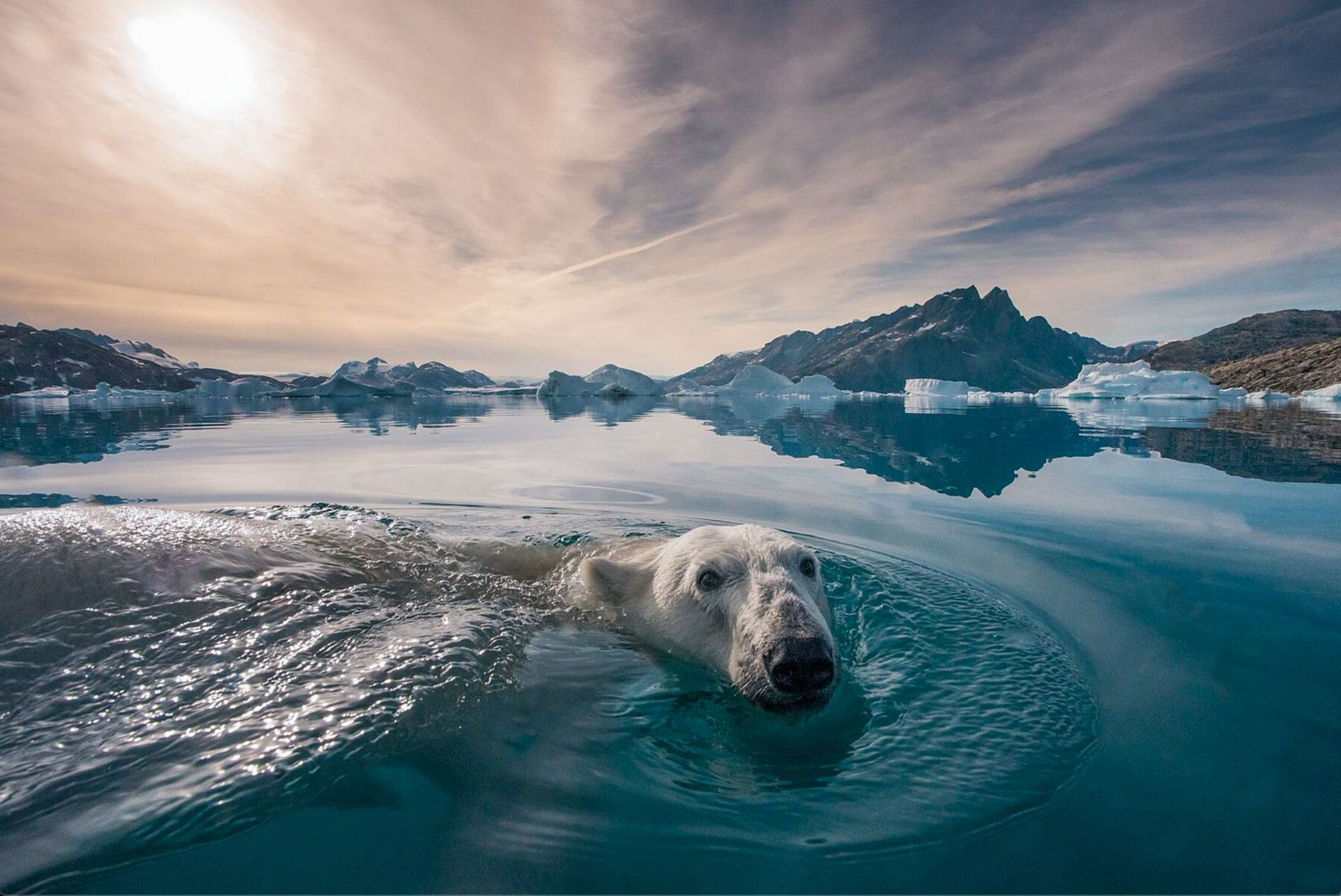 100 Photographs Raise Awareness on Environmental Protection – Fubiz Media